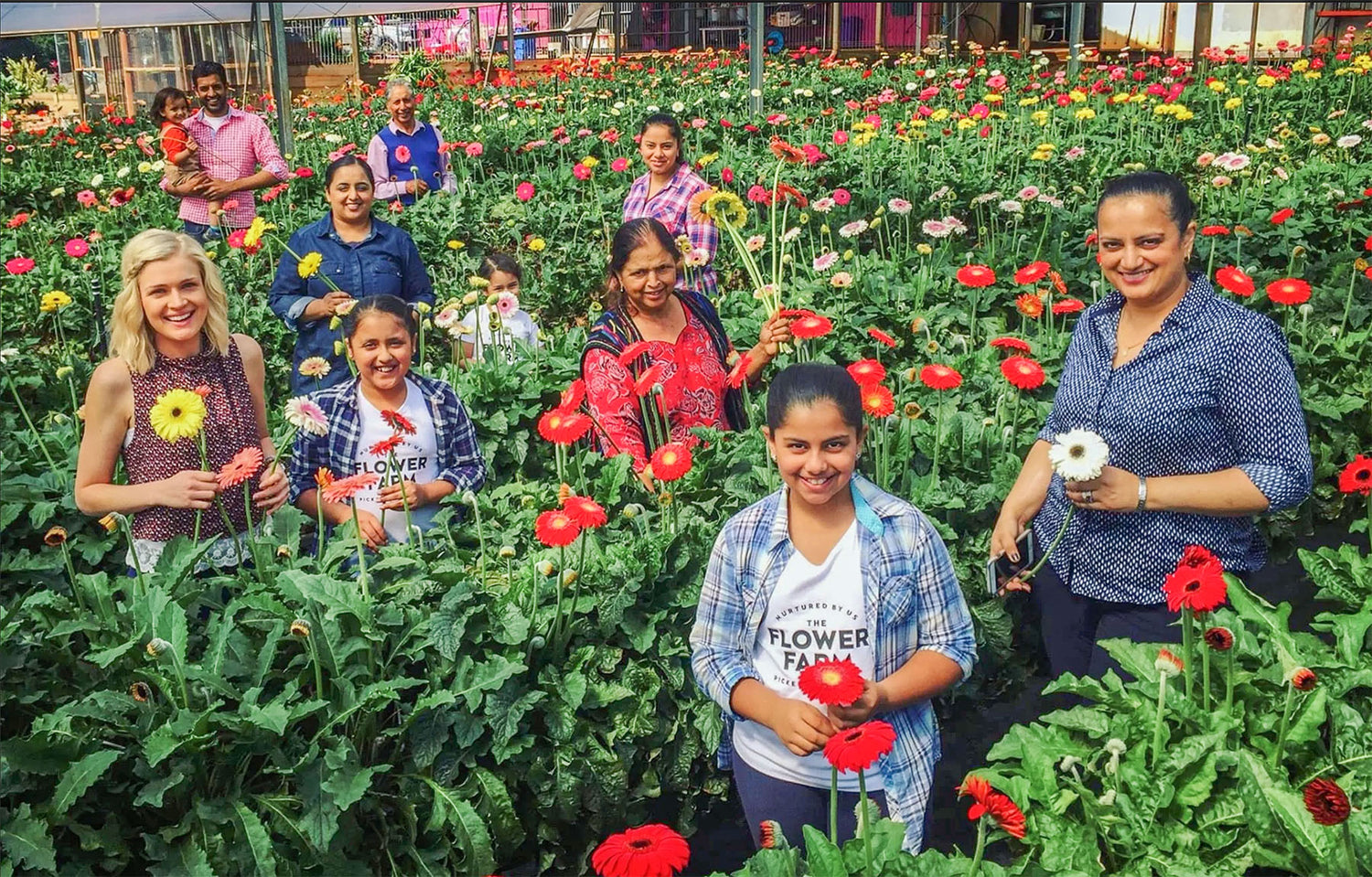 About Us - Flower Farming - Brisbane – The Flower Farm